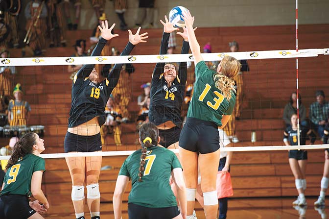 Huskies volleyball earns split on weekend | News, Sports, Jobs - The ...